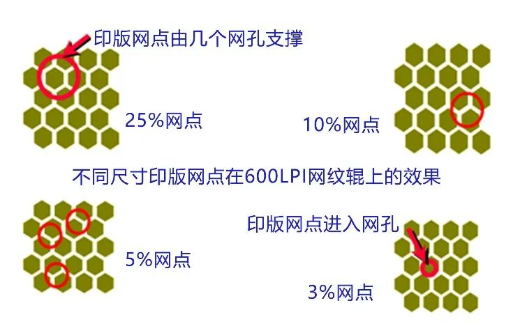 亮哥专栏|网纹辊线数、载墨量、网孔角度......这些与网纹辊息息相关的参数,你弄懂几个？_科印印包圈